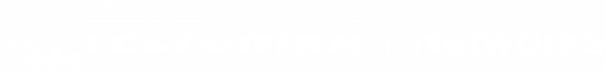 File:TELTONIKA-NETWORKS logo WHITE PNG.png - Wiki Knowledge Base ...